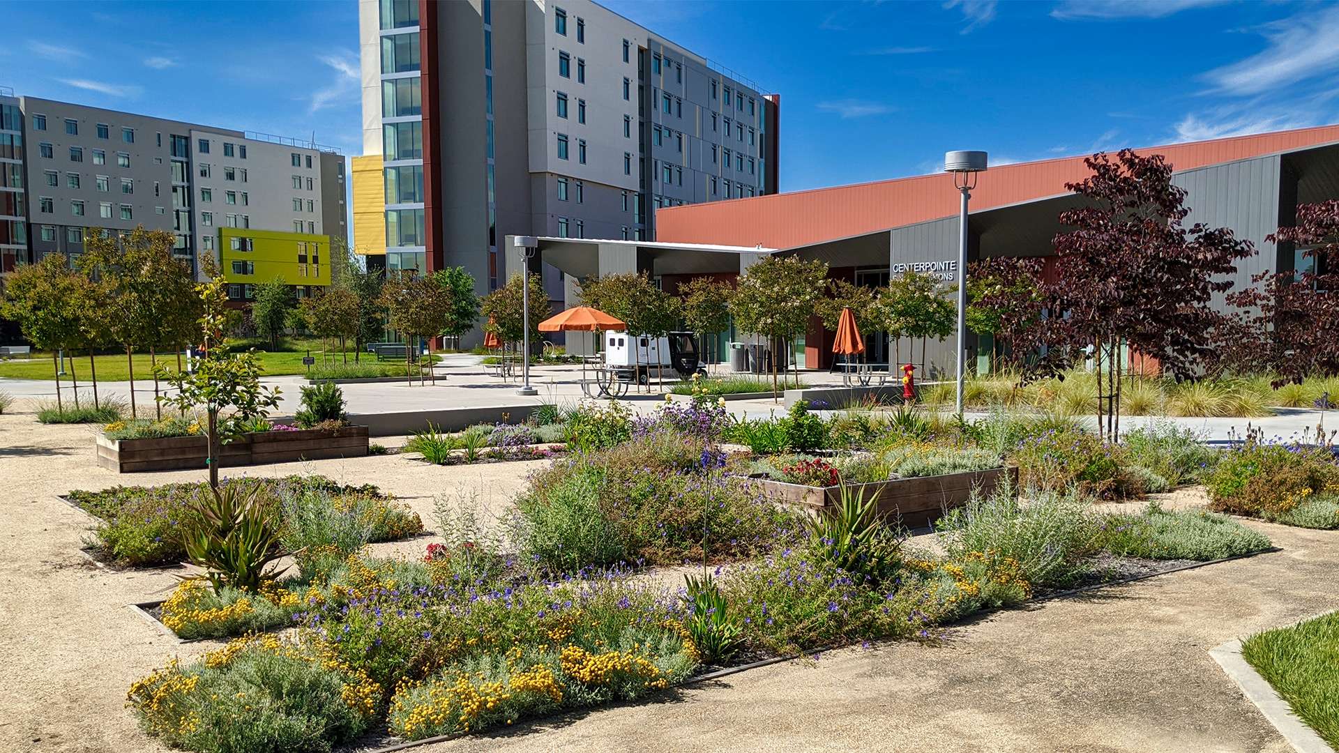 Cal Poly Pomona Student Housing and Dining Commons | Spurlock